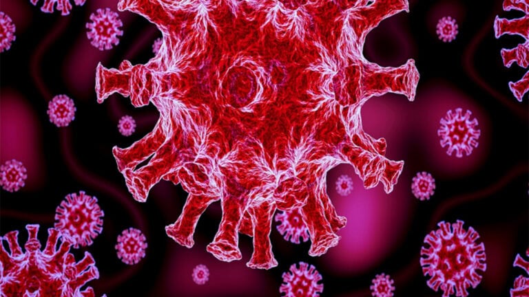 AAVMC | American Association of Veterinary Medical Colleges