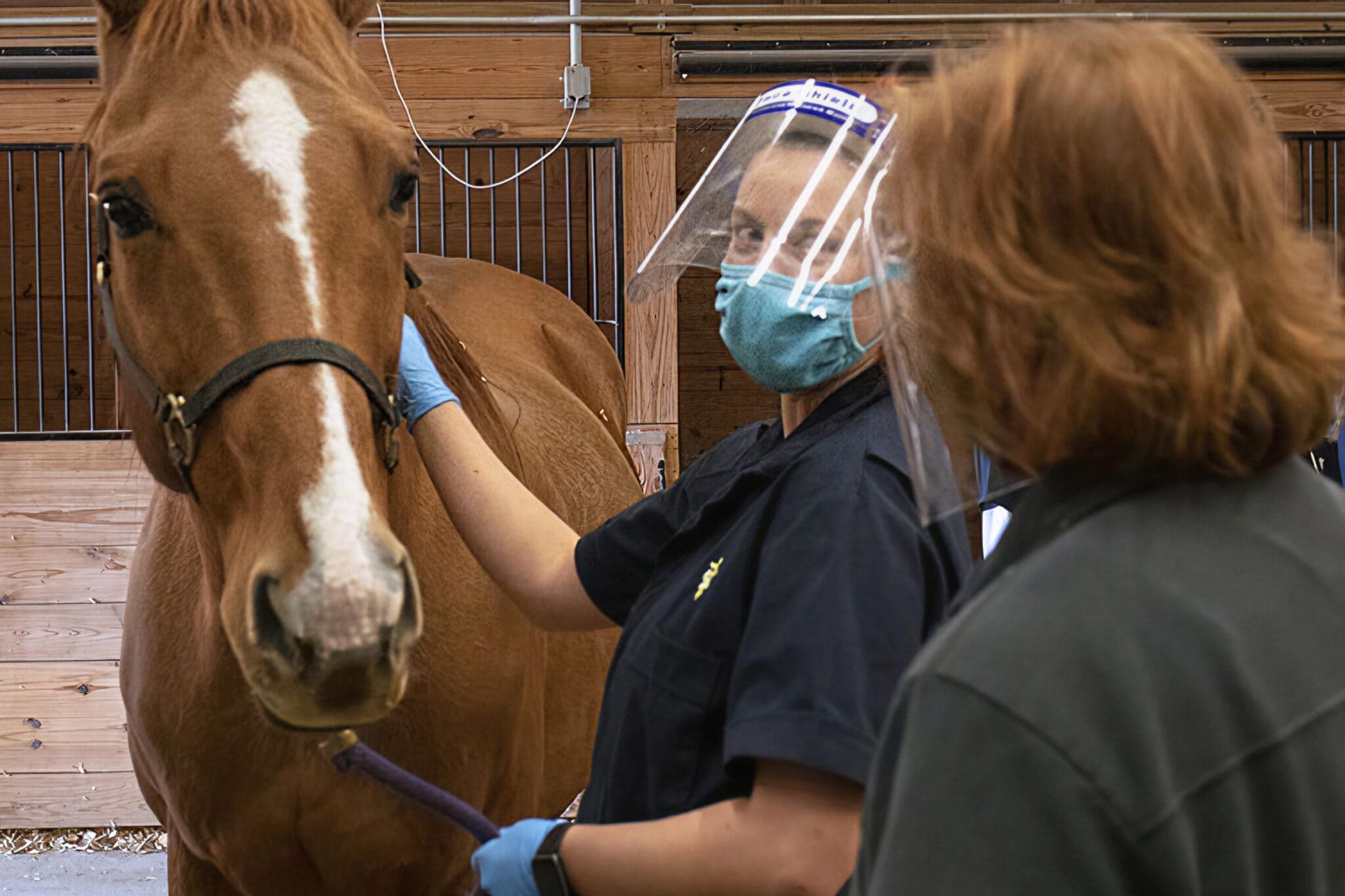 Competency-Based Veterinary Education - AAVMC